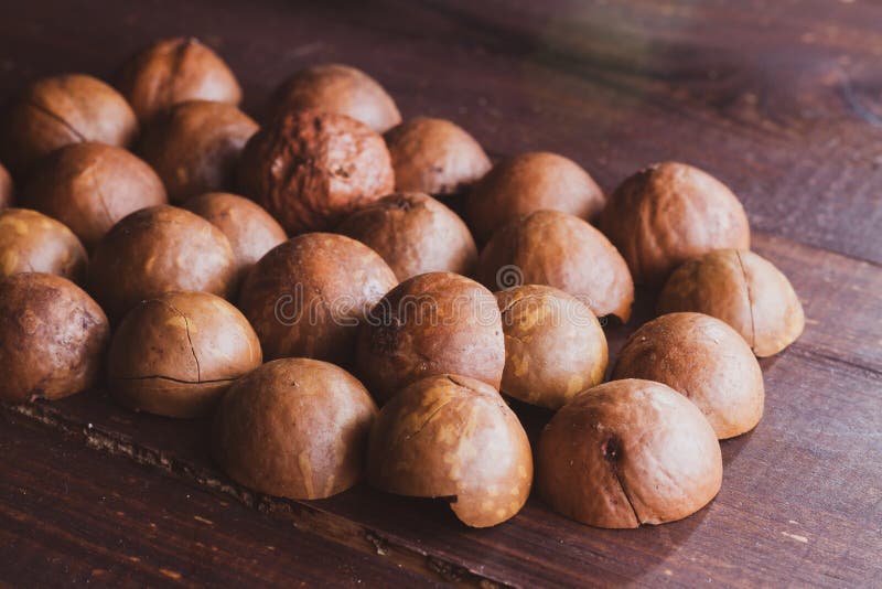Brown Shell from Round Macadamia Nuts. Background Stock Image - Image ...