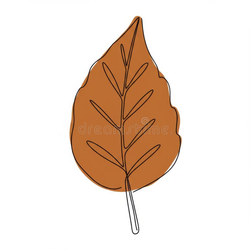 Brown Single Leaf Drawing Illustration Stock Illustration ...