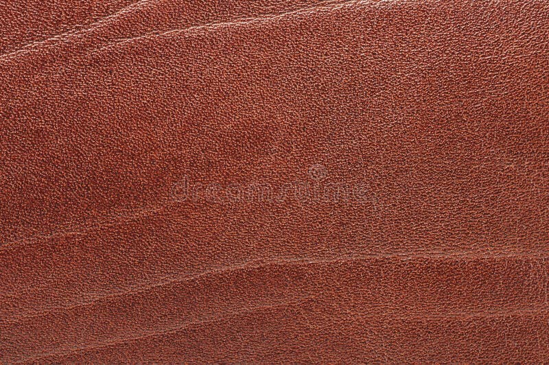Brown Skin Texture with Fold Marks Stock Image - Image of grained ...