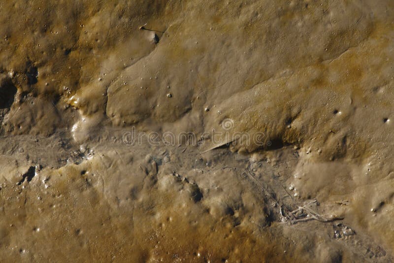 Brown sludge stock photo. Image of river, texture, outside - 98584814