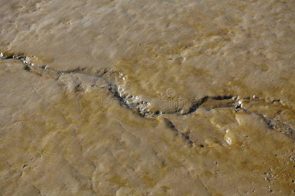 Brown sludge stock photo. Image of germany, sand, water - 98585034