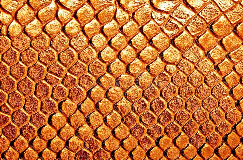 Brown Snake Skin, As Background Stock Photo - Image of predator ...