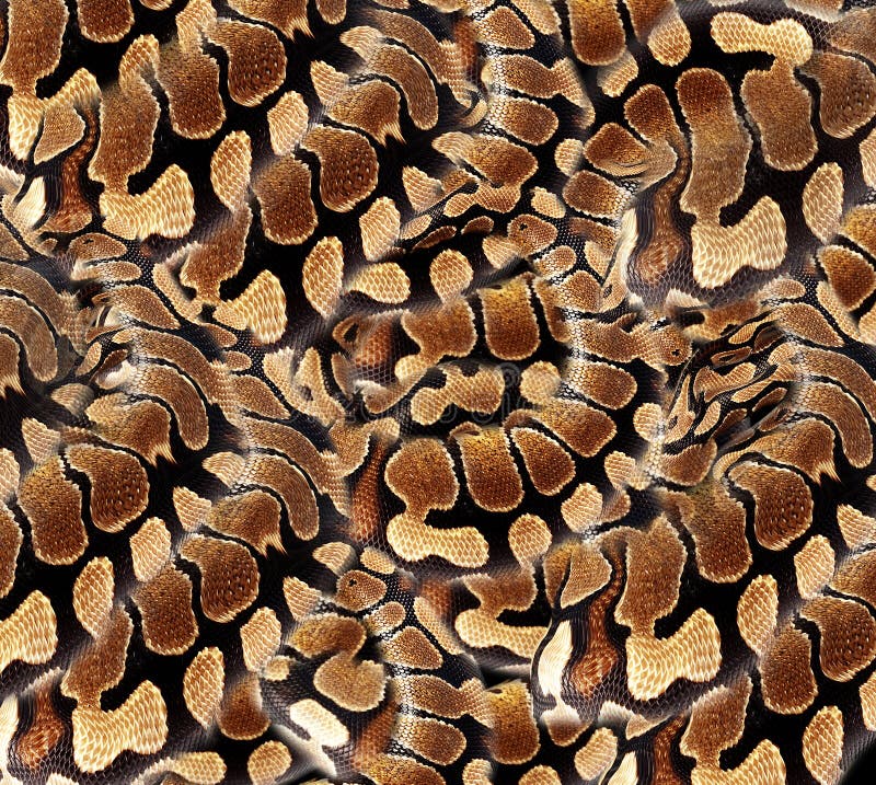 Snake Skin Textile Print Background Stock Image - Image of pattern ...