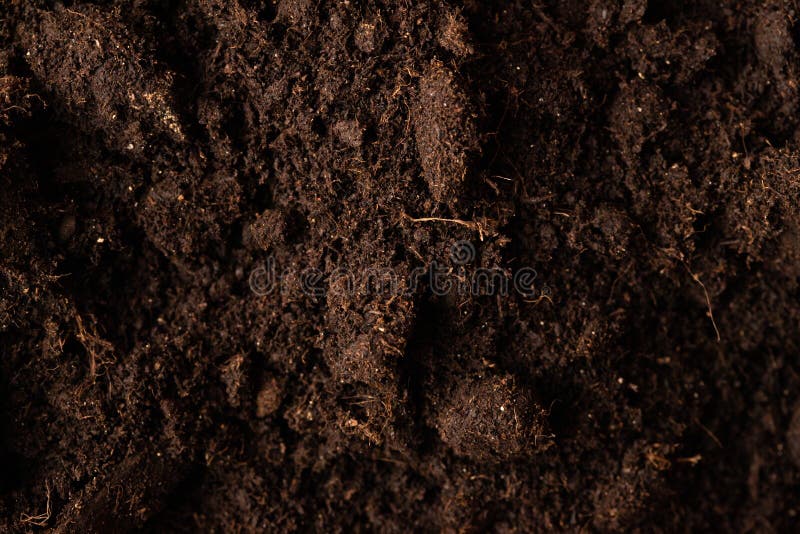 Brown Soil Background Texture in Subdued Light Stock Photo - Image of ...