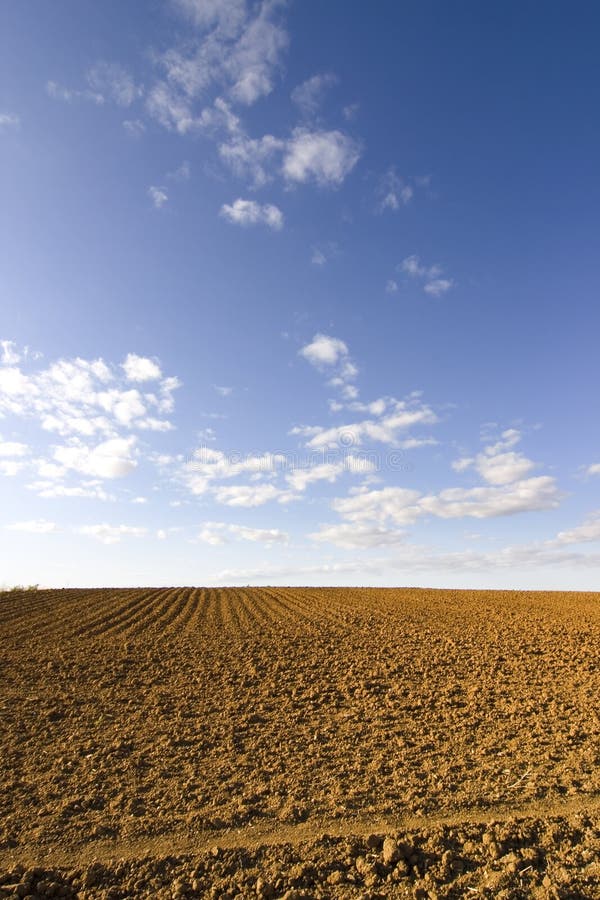 Brown soil field stock image. Image of land, field, fertile - 9335737