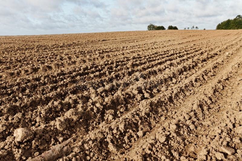 Brown soil of a field stock photo. Image of land, ground - 181199762