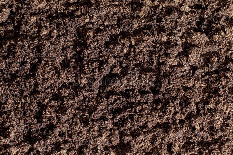 Brown soil for seedlings stock image. Image of peat, dirt - 85951939