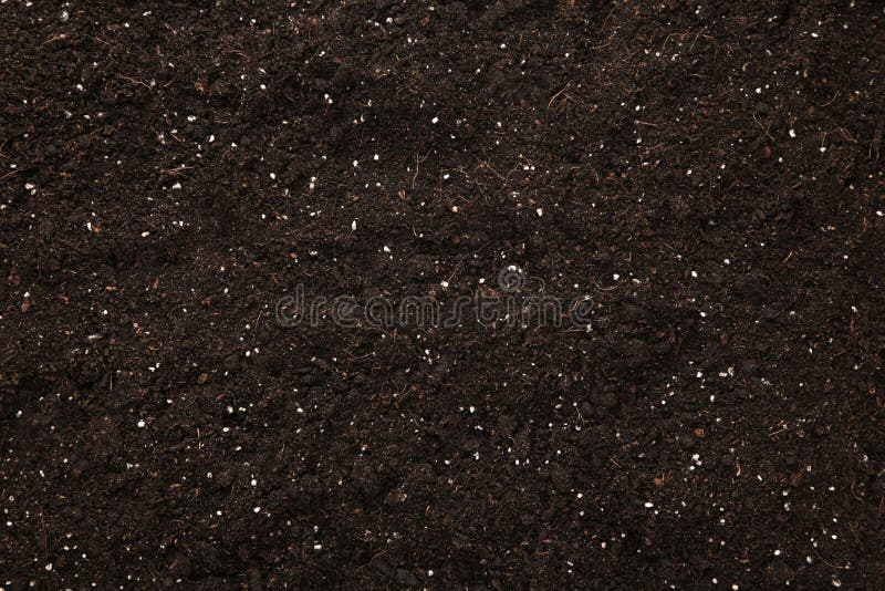 Brown Soil Texture Background with Copy Space Stock Photo - Image of ...