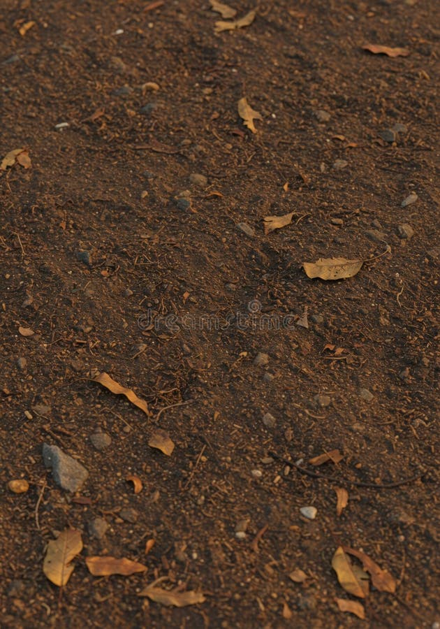Brown Soil Texture with Dry Leaves Stock Illustration - Illustration of ...
