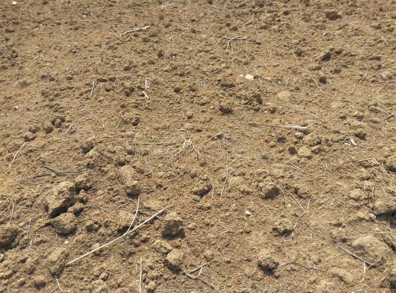 Brown Soil Texture of Field Stock Image - Image of dirt, cultivation ...