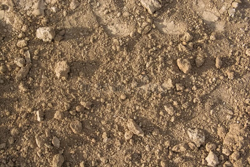 Brown Soil Texture with Dry Root Stock Photo - Image of mineral, dust ...
