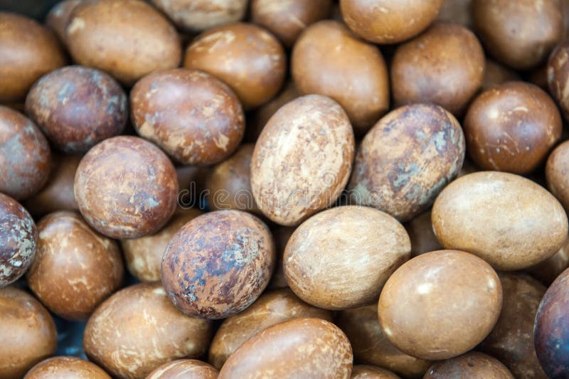 Brown spotted eggs stock image. Image of small, spotted - 63562641