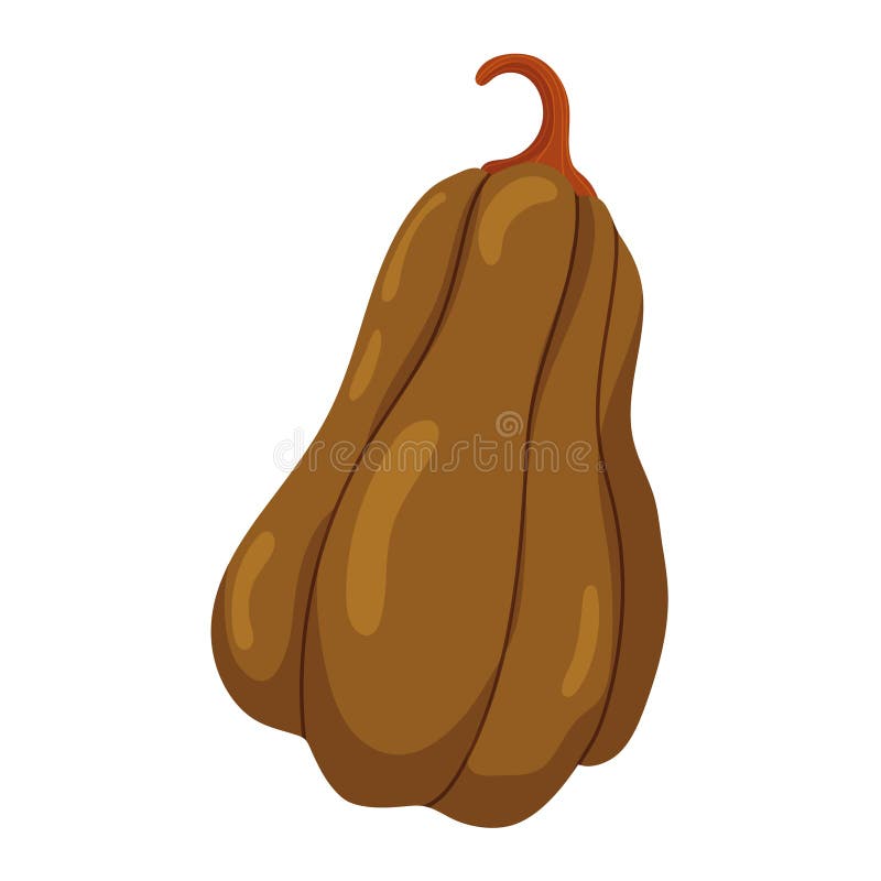 Brown Squash Vegetable Icon. Vector Stock Vector - Illustration of ...