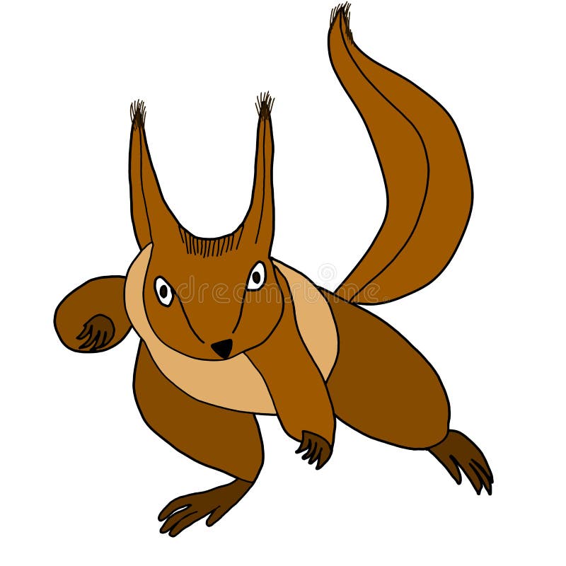 Brown Squirrel Standing before Jumping Illustration Stock Illustration ...