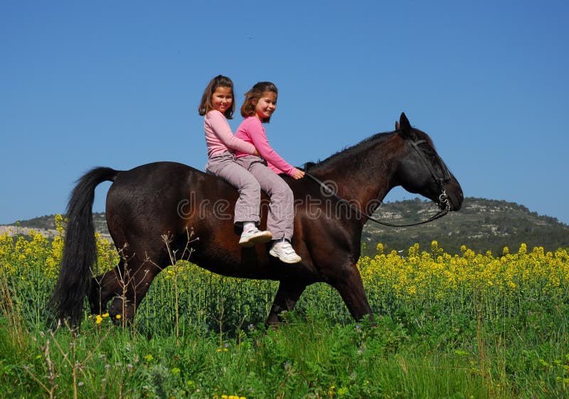 Sisters twins and horse stock photo. Image of laugh, girls - 2262036