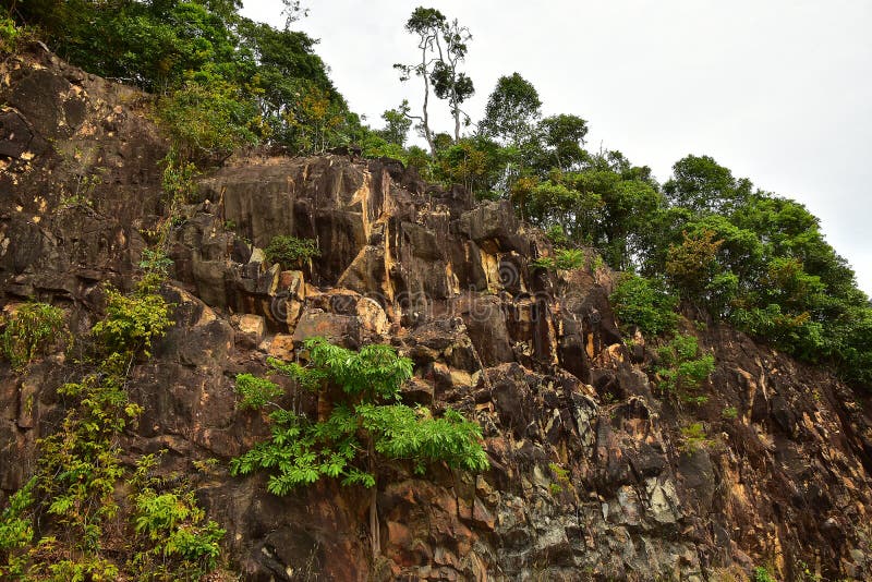 Brown Stone Cliff View with Small Tree on the Side of Road Stock Photo ...