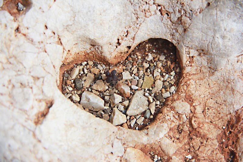 Brown Stone in the Form of a Heart Stock Photo - Image of forest, heart ...