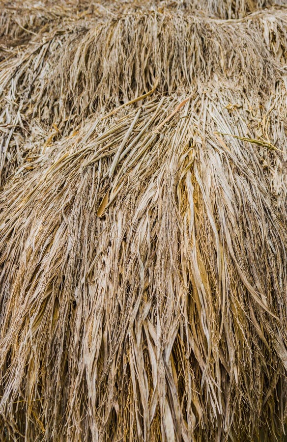 Brown straw heap stock image. Image of haystack, macro - 42770403