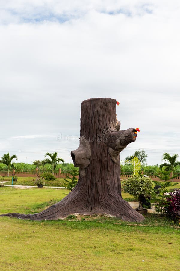 Brown Stump in the garden stock photo. Image of brown - 32502558
