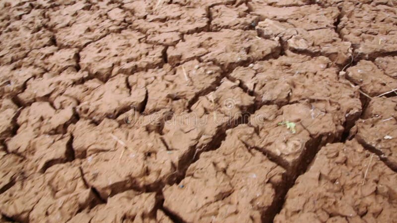 Brown Surface of Crack Clay, View from Above in Stock Video - Video of ...