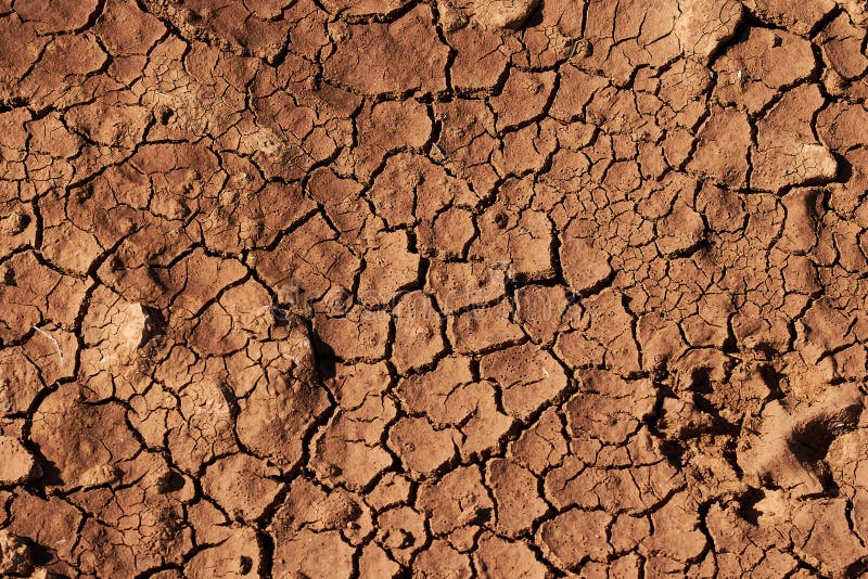 Brown surface of a land stock photo. Image of barren - 127032170
