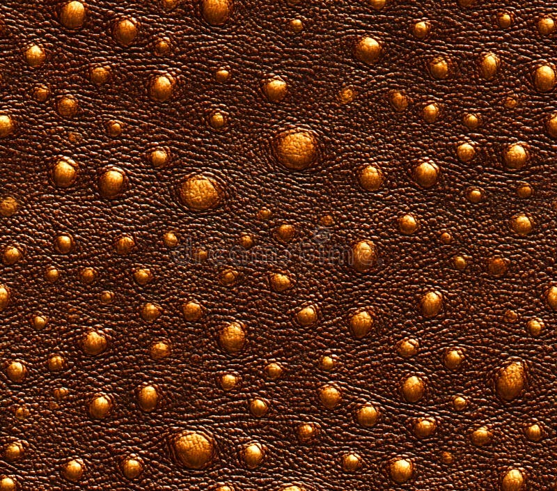 Raised Textured Element Stock Illustrations – 1,454 Raised Textured ...