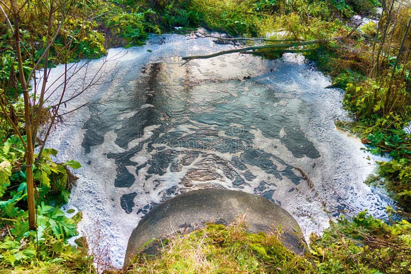 Brown Swamp Water Flows Down the Pipe Stock Photo - Image of biological ...