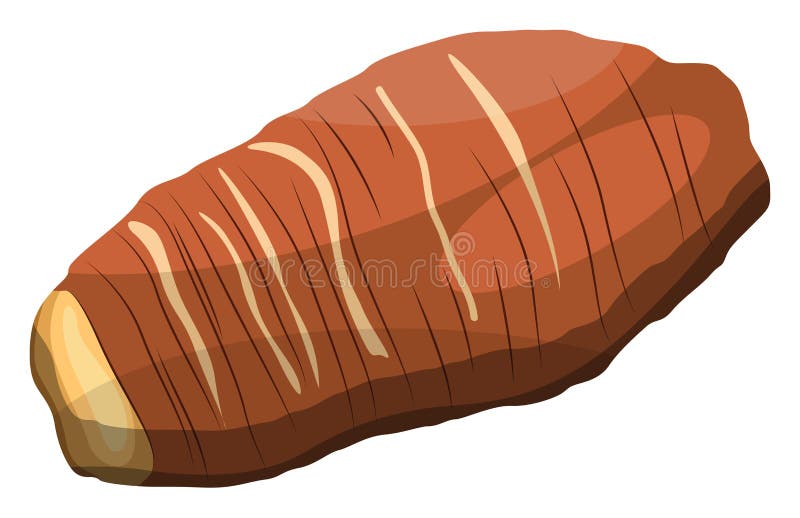 Taro Root. Colocasia Esculenta. Hand Draw Sketch Stock Illustration ...