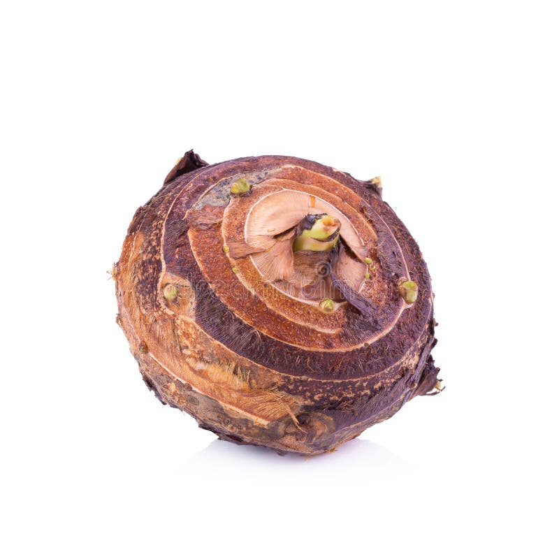 Brown Taro on White Background Stock Image - Image of slices, front ...