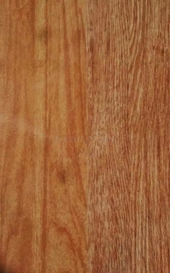 Brown teak wood texture stock photo. Image of backgroud - 269967982