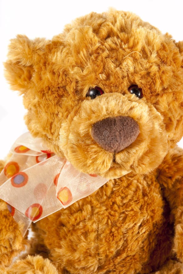 Brown Teddy Bear and Empty Black Board in Red Frame Stock Image - Image ...