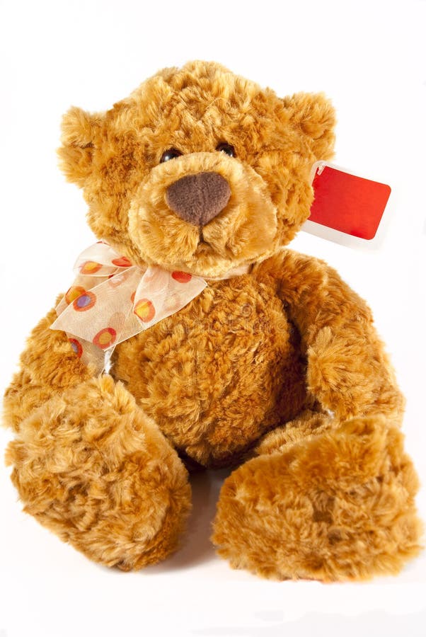 Brown Teddy Bear and Empty Black Board in Red Frame Stock Image - Image ...