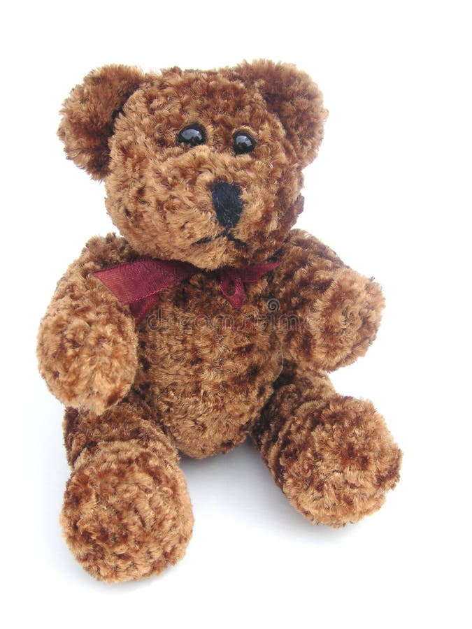Brown teddy stock image. Image of expression, single, cute - 585485