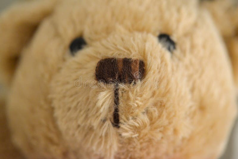Brown teddy bear face stock image. Image of tedd, bear - 188132651