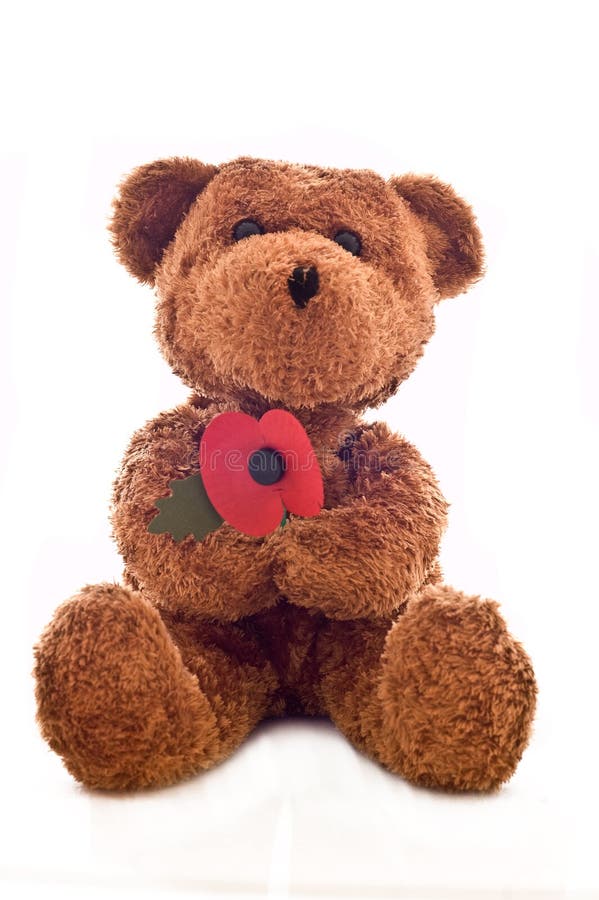 Brown Teddy Bear Holding a Poppy Flower Stock Photo - Image of ...