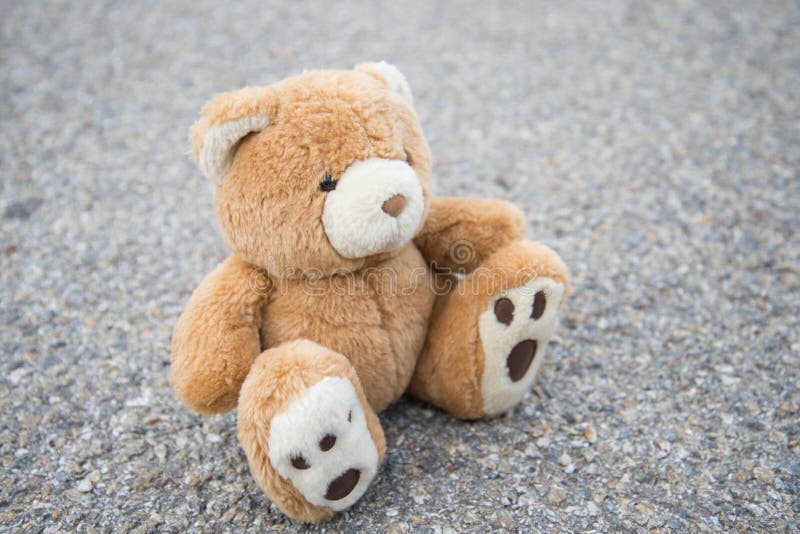 Brown teddy bear isolated stock image. Image of doll - 41809169