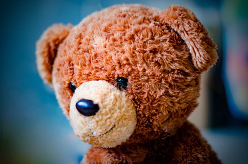 A teddy bear portrait stock image. Image of teddy, brown - 216820383