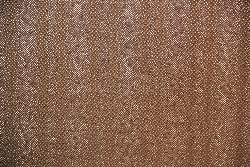 Brown Texture Like Snake Skin Stock Image - Image of cell, ceramic ...