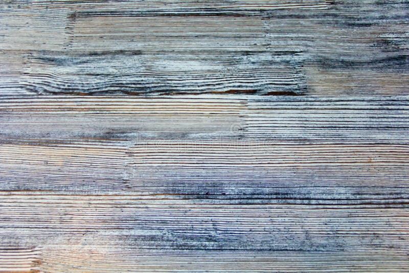 Texture stem plant stock photo. Image of texture, branch - 275804494