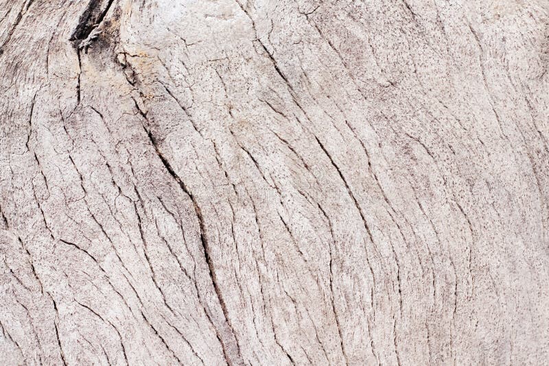 Brown Texture Wood Line Brown Background Stock Image - Image of line ...