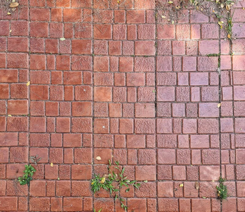 Brown tiled walkway stock photo. Image of cobblestone - 242265526