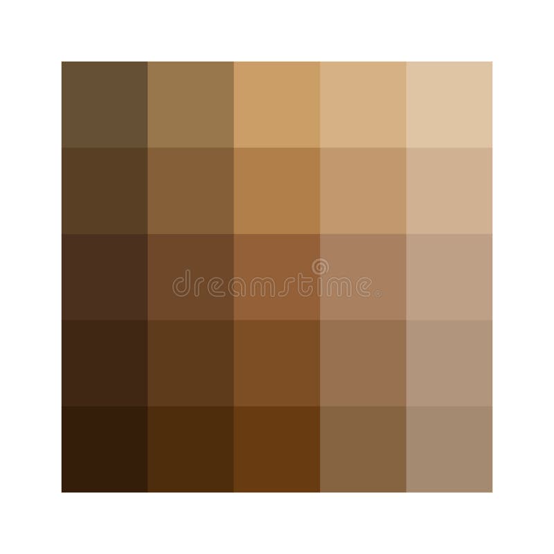 Brown Tone Palette. Square Shade Layout. Earthy Pigment Structure ...