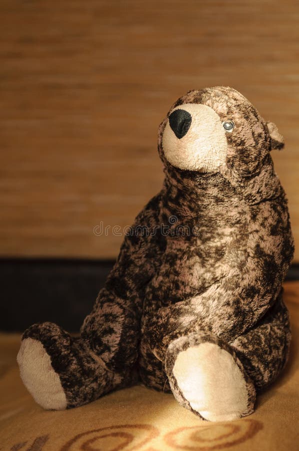 Brown Toy Bear Sitting on the Couch in the Rays of Light Stock Photo ...