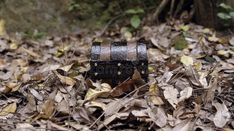 A Brown Treasure Box Amidst Dead Leaves in a Forest Stock Video - Video ...