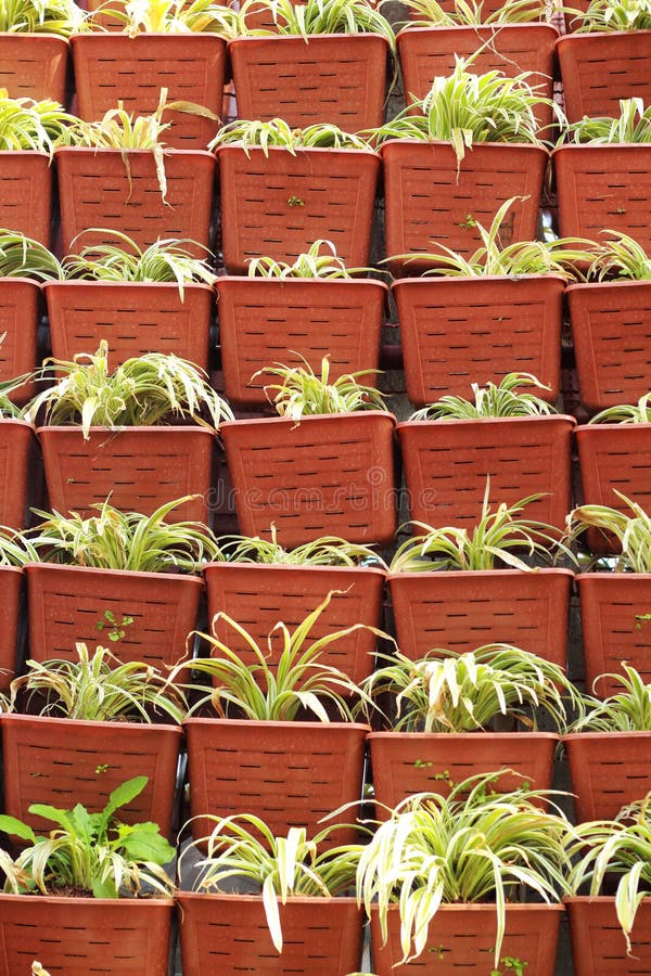 Brown Tree Pots Stacked Set a High Stock Image - Image of agriculture ...