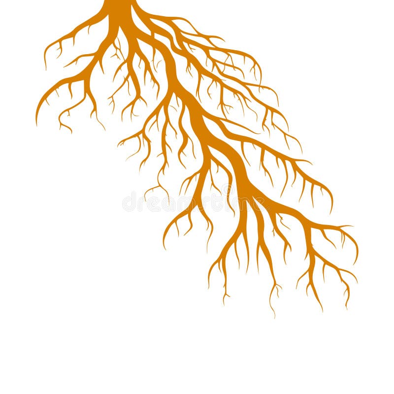 Tree Roots Vector Cartoon Stock Illustrations – 2,000 Tree Roots Vector ...