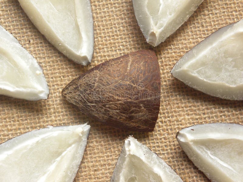 Triangular cut Copra stock photo. Image of healthy, nature - 192885930