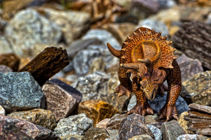 Brown Triceratops Dinosaur Walking among the Rocks Stock Image - Image ...