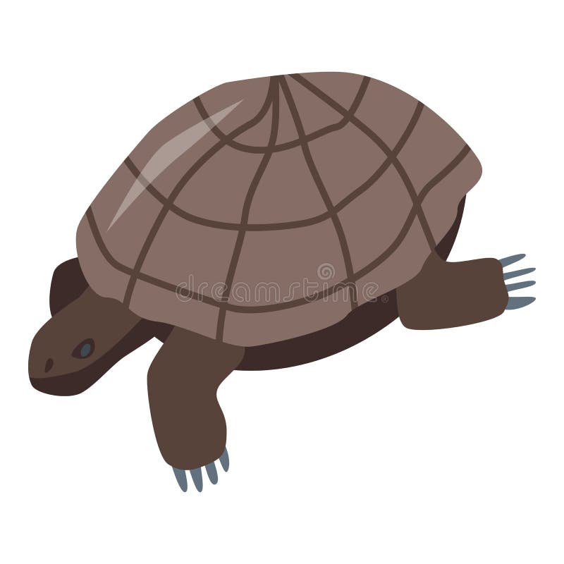 Brown Turtle Icon, Isometric Style Stock Vector - Illustration of small ...