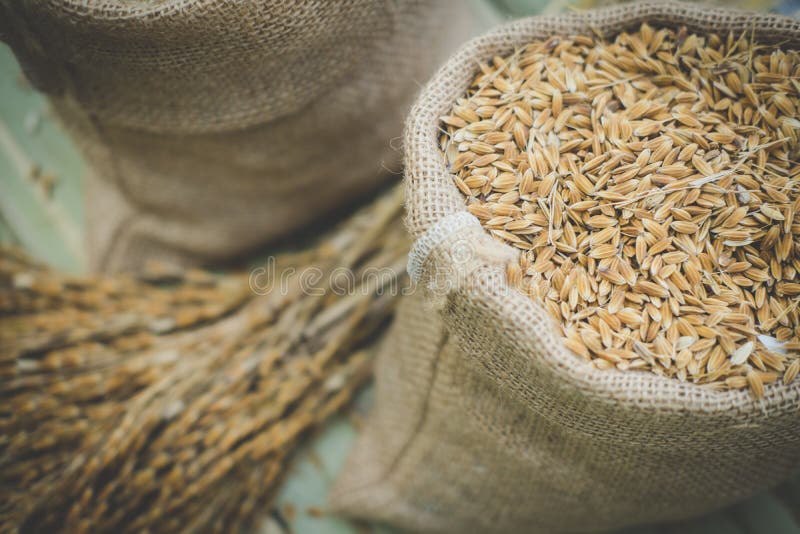 Brown Grain Rice in Burlap Sack Bag Stock Image - Image of rice, brown ...